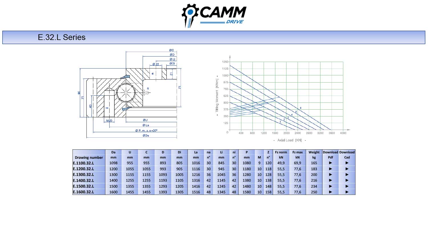 DENTADO EXTERNO – CAMM Group