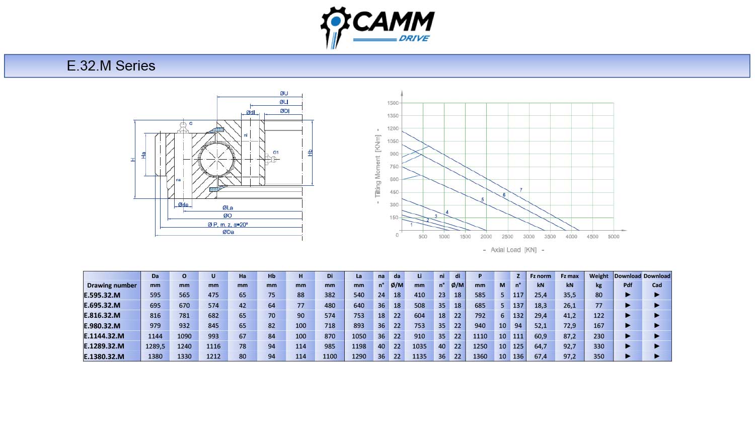 DENTADO EXTERNO – CAMM Group
